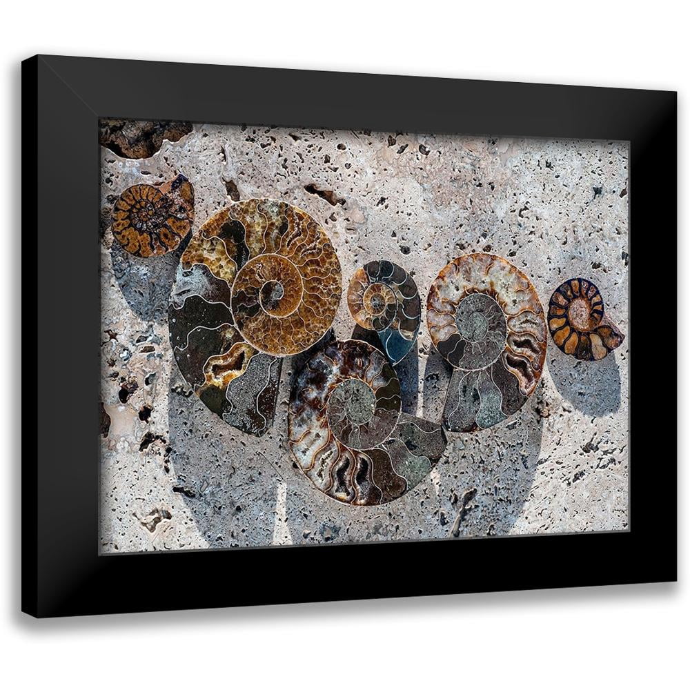 Ray, Elena 14x12 Black Modern Framed Museum Art Print Titled - Gifts of ...