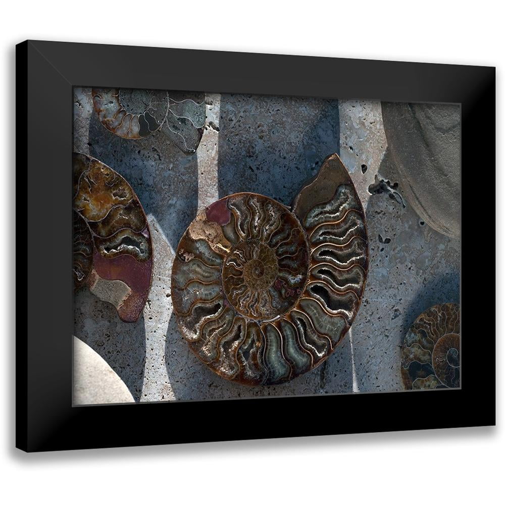 Ray, Elena 14x12 Black Modern Framed Museum Art Print Titled - Gifts of ...