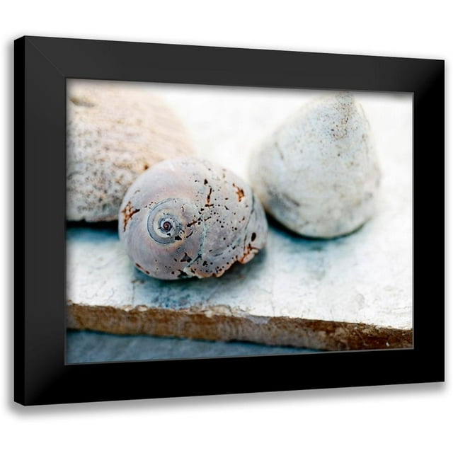 Ray, Elena 14x12 Black Modern Framed Museum Art Print Titled - Shell ...