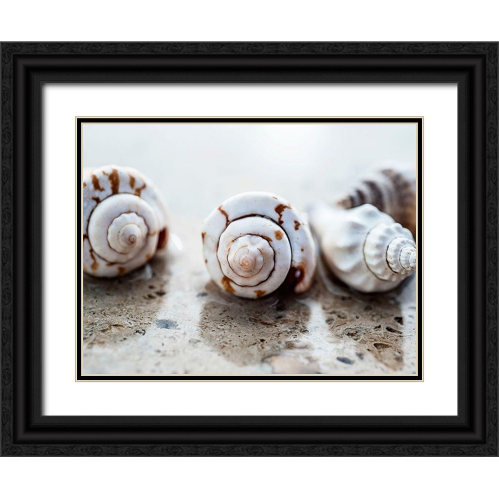 Ray, Elena 14x12 Black Ornate Wood Framed with Double Matting Museum ...