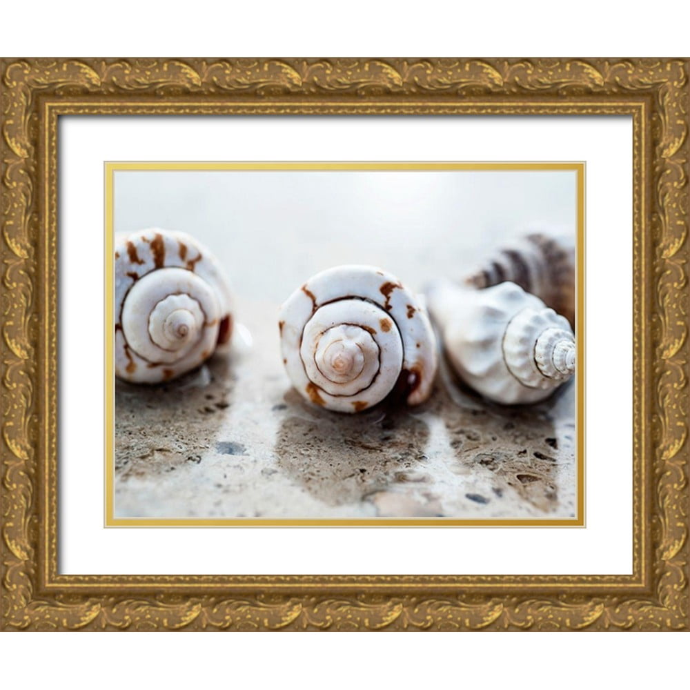 Ray, Elena 14x12 Gold Ornate Wood Framed with Double Matting Museum Art ...