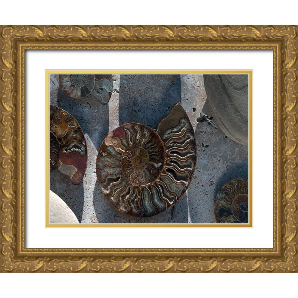 Ray, Elena 14x12 Gold Ornate Wood Framed with Double Matting Museum Art ...
