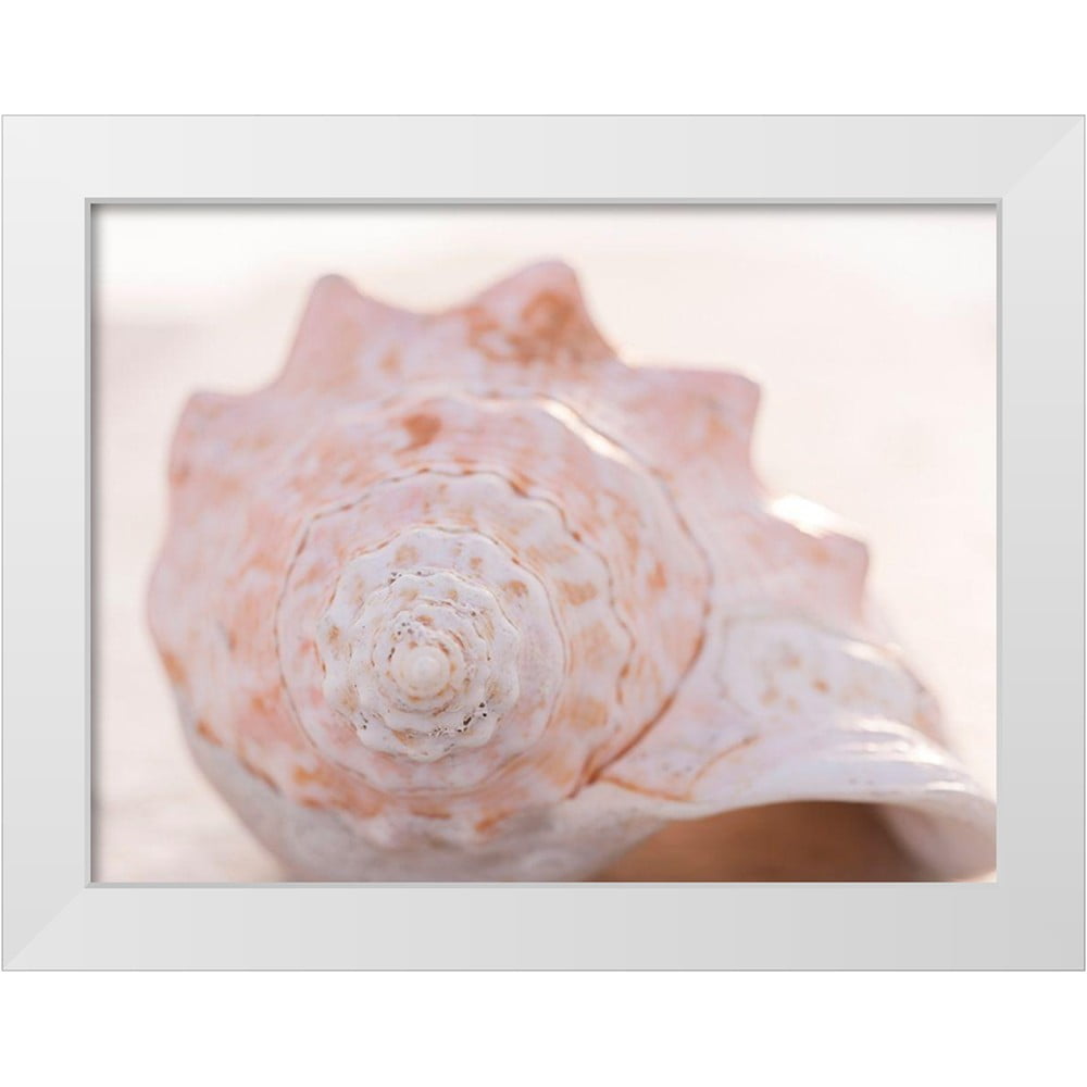 Ray, Elena 14x12 White Modern Wood Framed Museum Art Print Titled ...