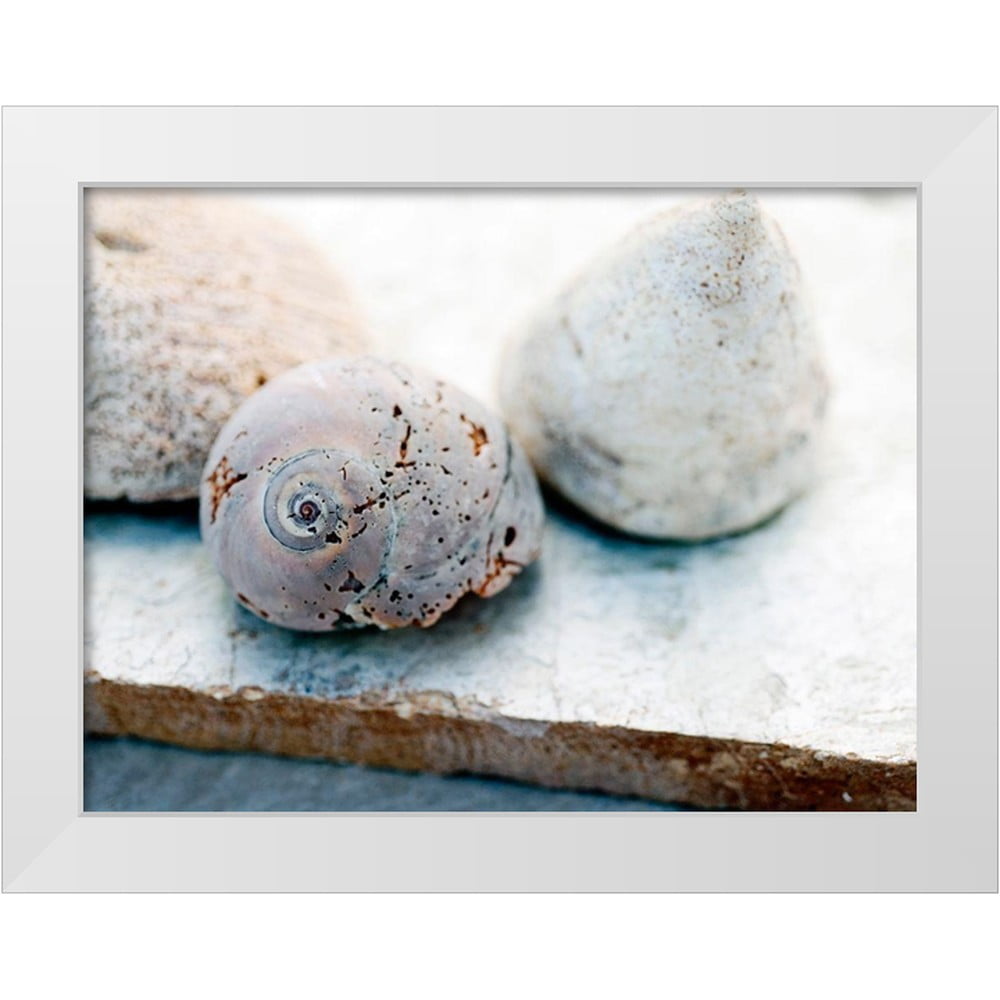 Ray, Elena 14x12 White Modern Wood Framed Museum Art Print Titled ...