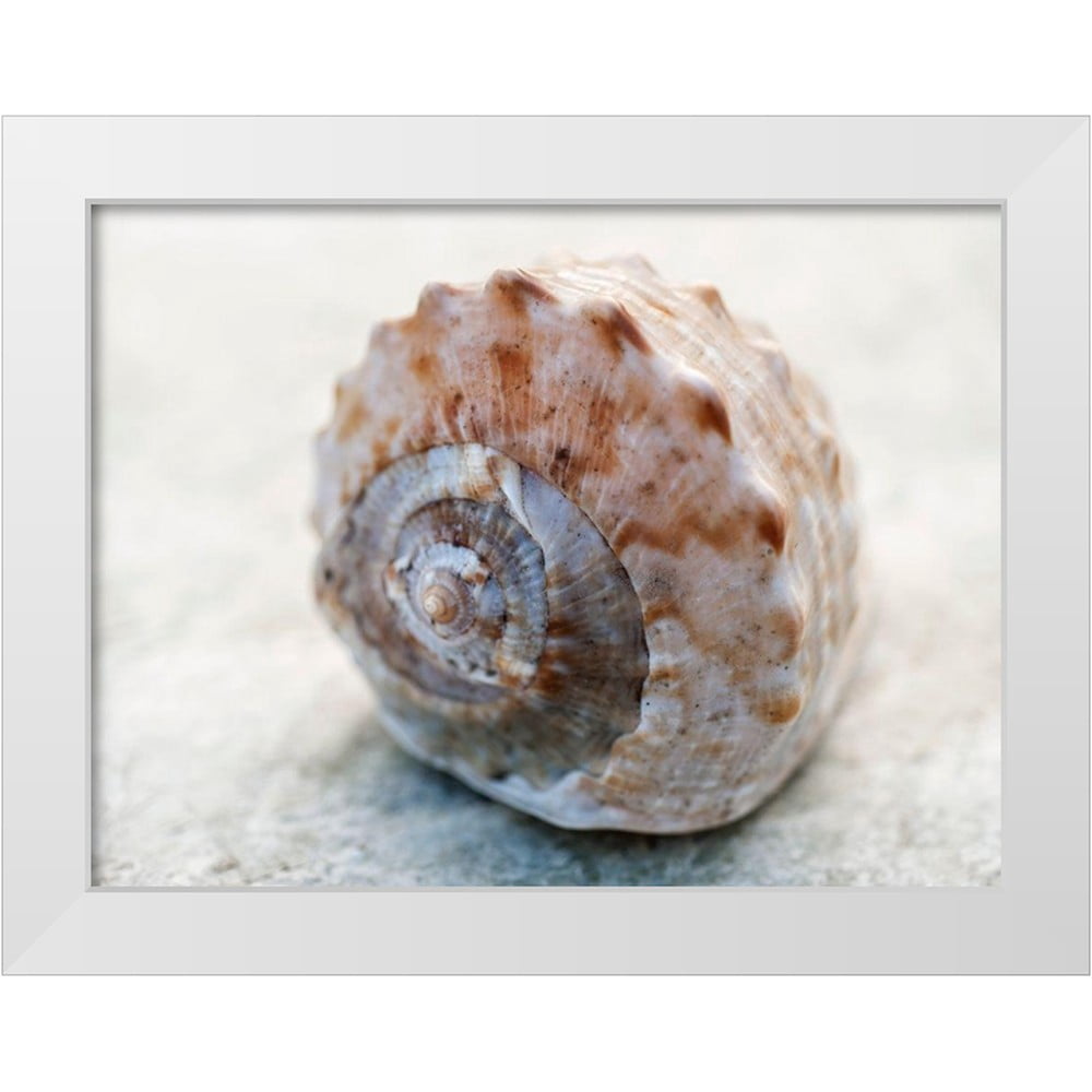 Ray, Elena 14x12 White Modern Wood Framed Museum Art Print Titled ...