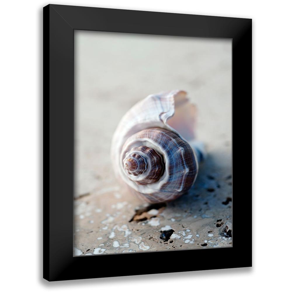 Ray, Elena 15x18 Black Modern Framed Museum Art Print Titled - Gifts of ...