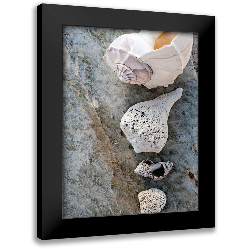 Ray, Elena 15x18 Black Modern Framed Museum Art Print Titled - Gifts of ...