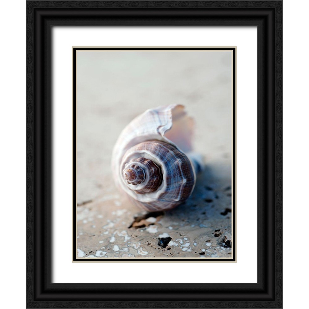 Ray, Elena 15x18 Black Ornate Wood Framed with Double Matting Museum ...