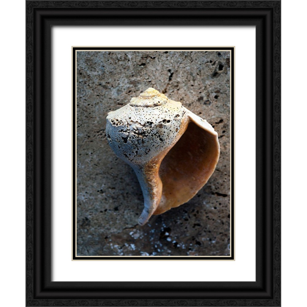 Ray, Elena 15x18 Black Ornate Wood Framed with Double Matting Museum ...
