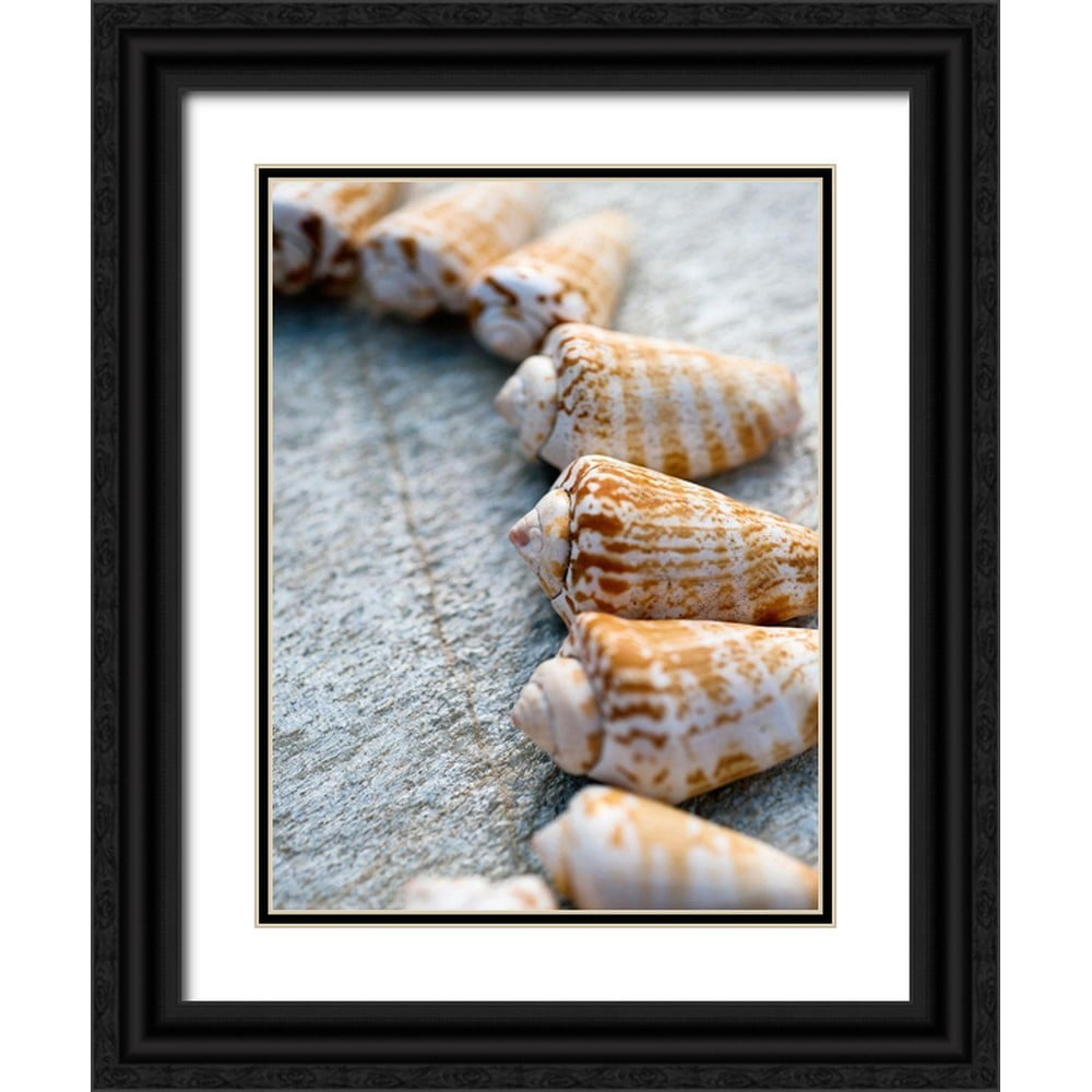 Ray, Elena 15x18 Black Ornate Wood Framed with Double Matting Museum ...