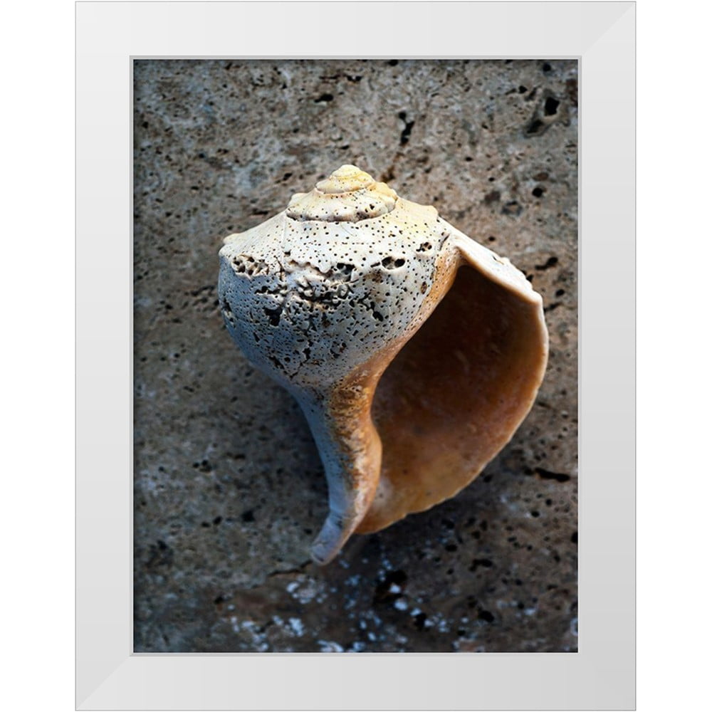 Ray, Elena 15x18 White Modern Wood Framed Museum Art Print Titled ...