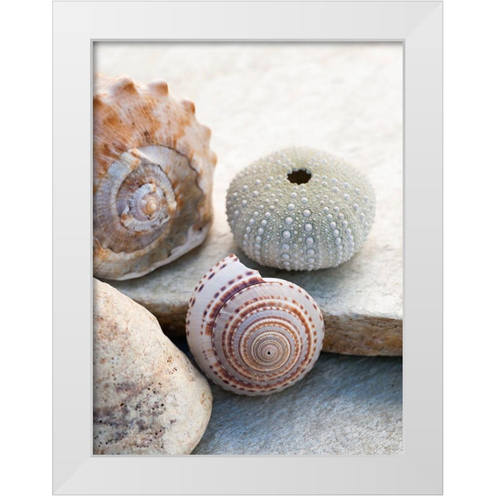 Ray, Elena 15x18 White Modern Wood Framed Museum Art Print Titled ...