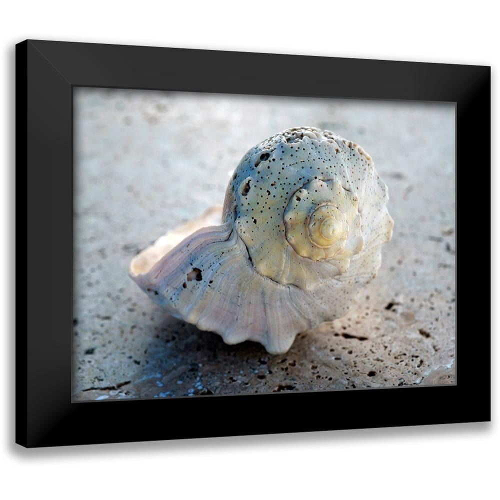 Ray, Elena 18x15 Black Modern Framed Museum Art Print Titled - Gifts of ...