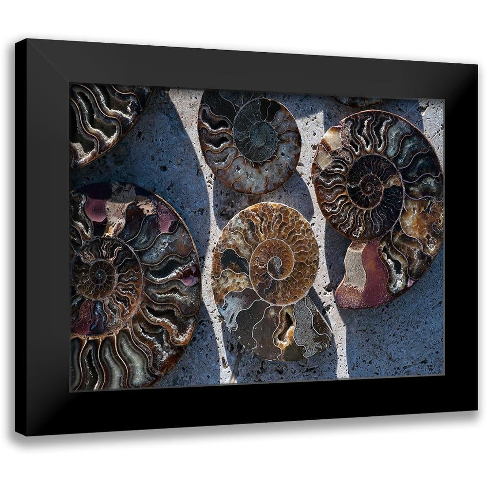 Ray, Elena 18x15 Black Modern Framed Museum Art Print Titled - Gifts of ...