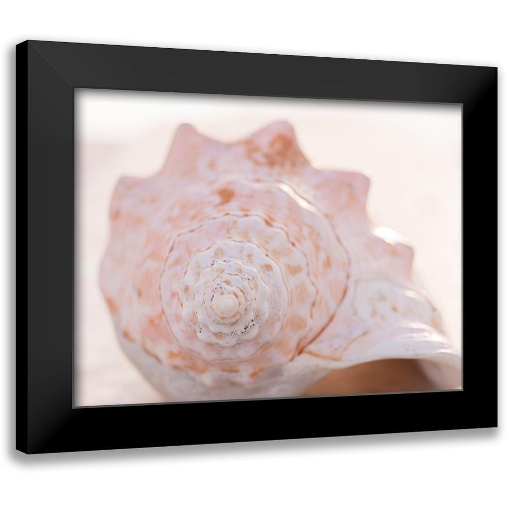 Ray, Elena 18x15 Black Modern Framed Museum Art Print Titled - Shell ...