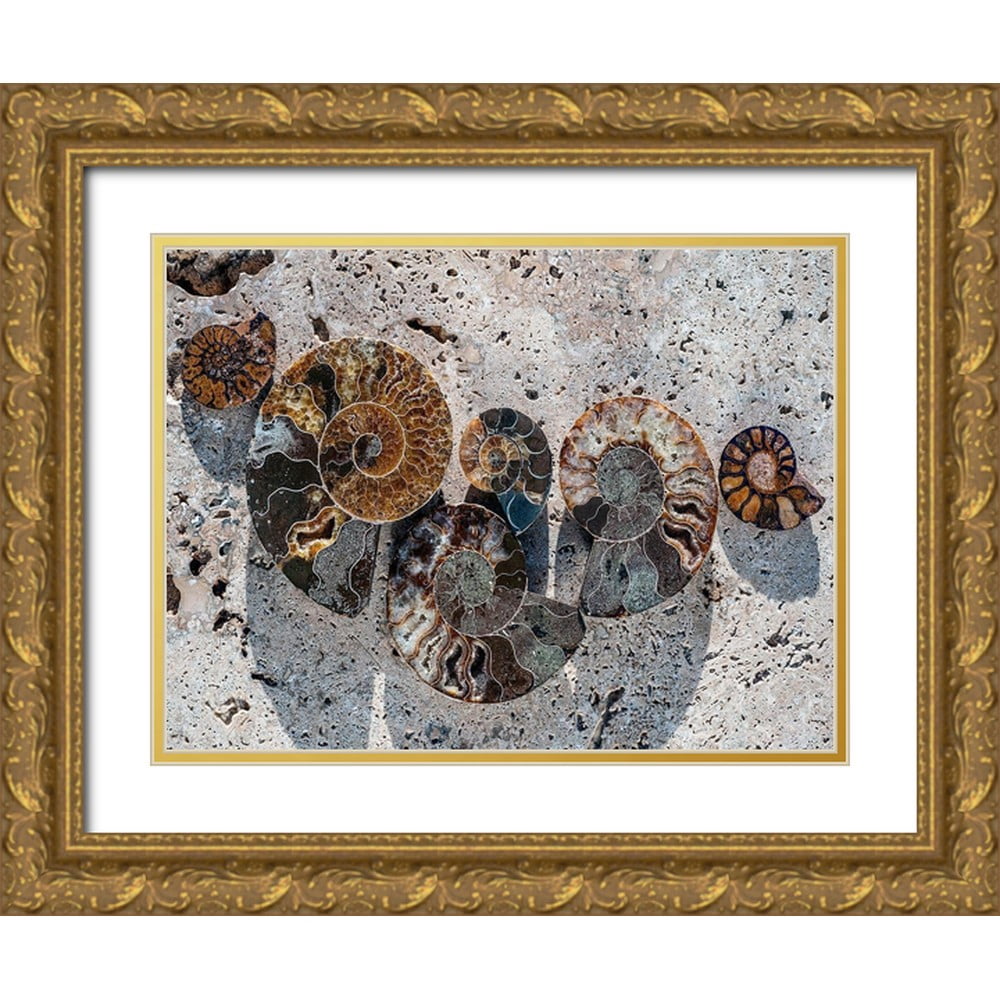 Ray, Elena 18x15 Gold Ornate Wood Framed with Double Matting Museum Art ...