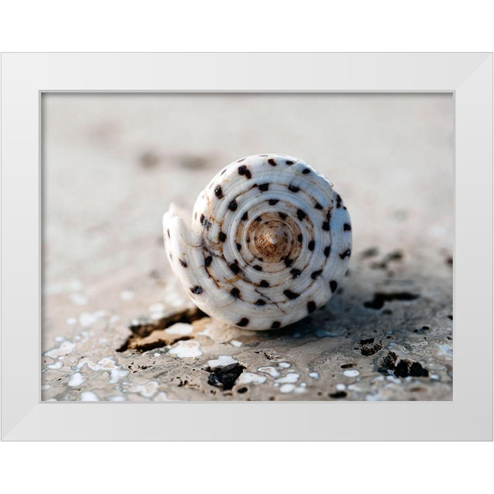 Ray, Elena 18x15 White Modern Wood Framed Museum Art Print Titled ...