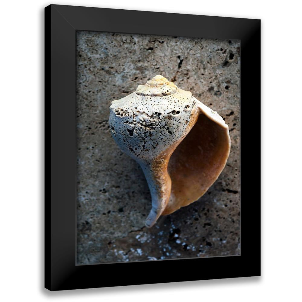 Ray, Elena 19x24 Black Modern Framed Museum Art Print Titled - Gifts of ...