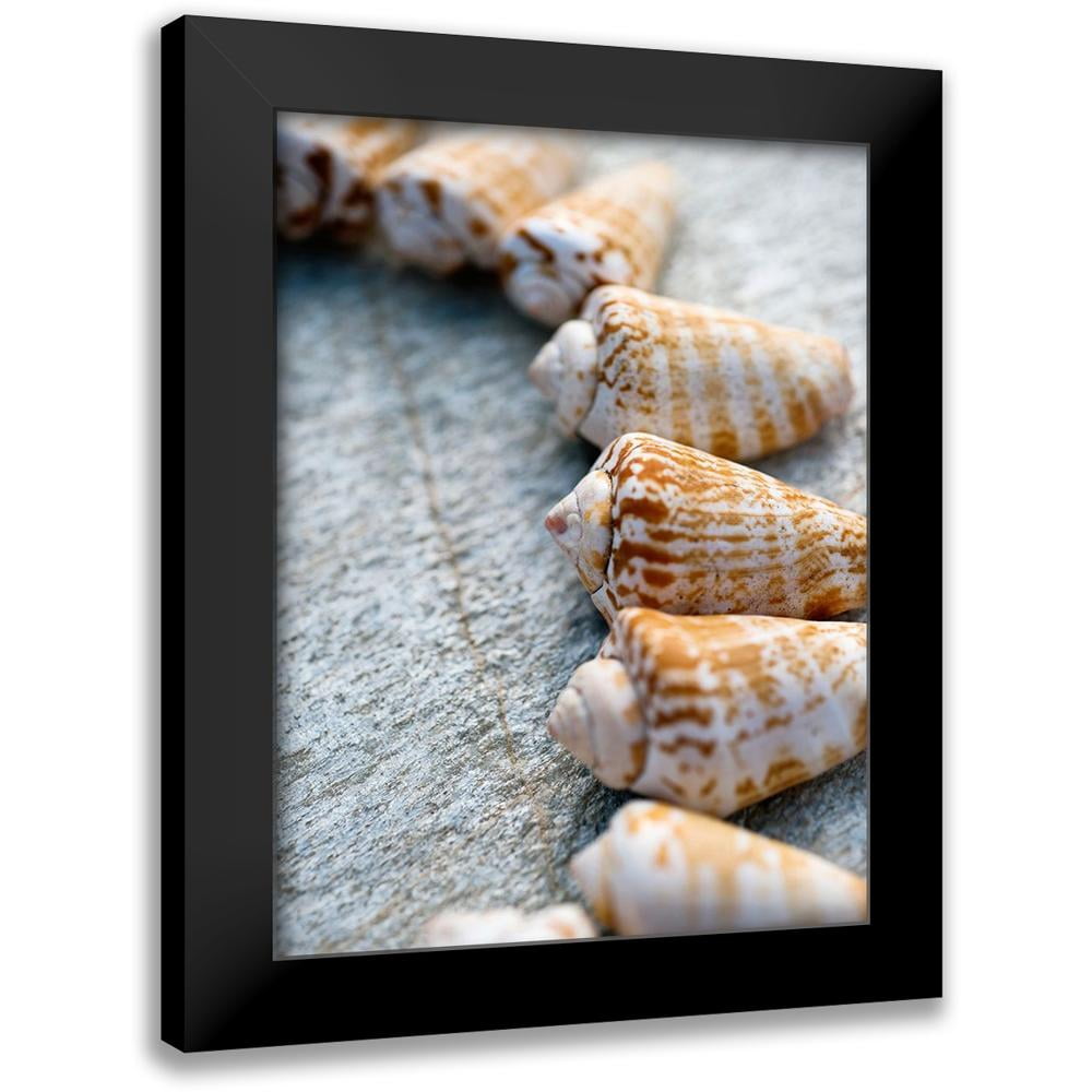 Ray, Elena 19x24 Black Modern Framed Museum Art Print Titled - Gifts of ...