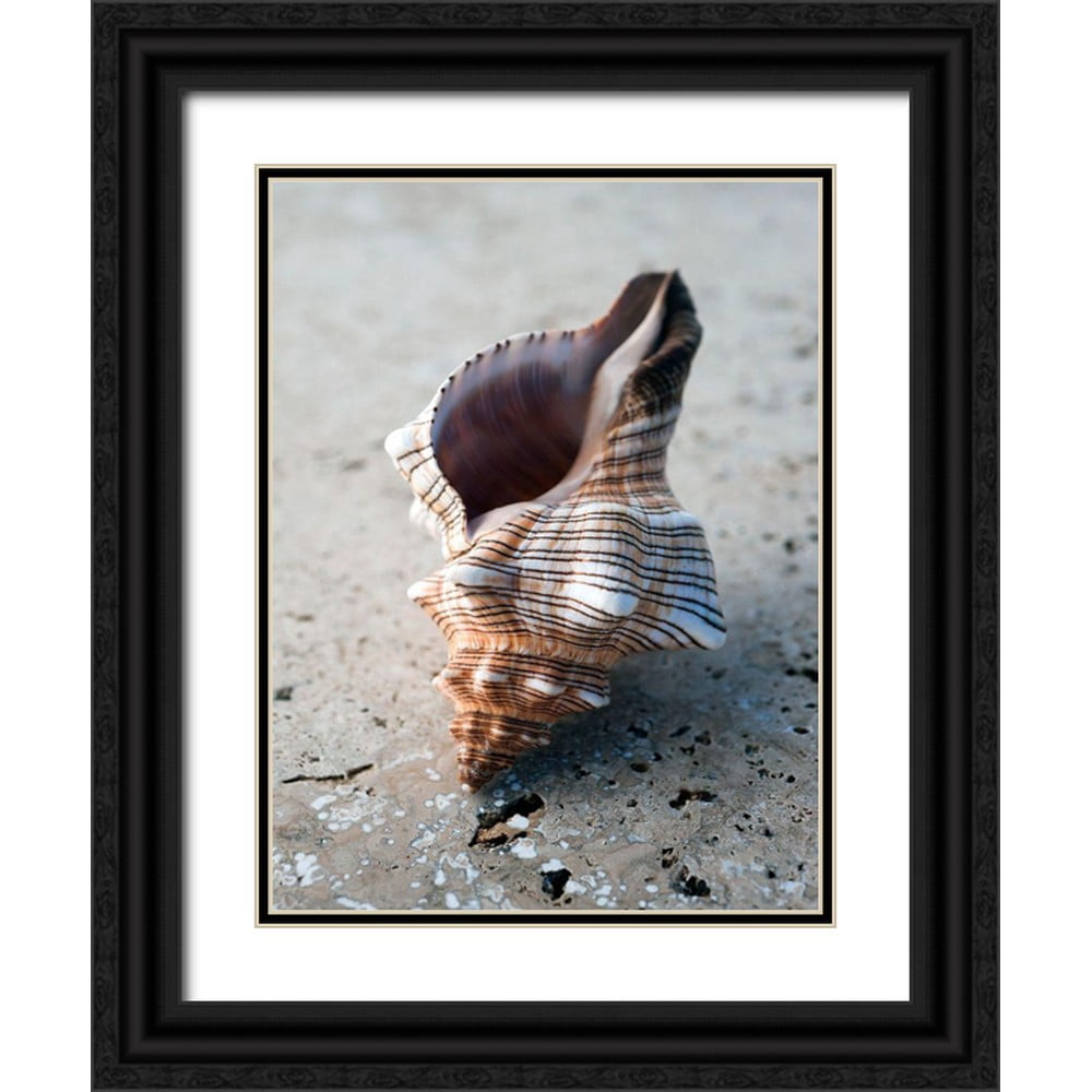 Ray, Elena 19x24 Black Ornate Wood Framed with Double Matting Museum ...