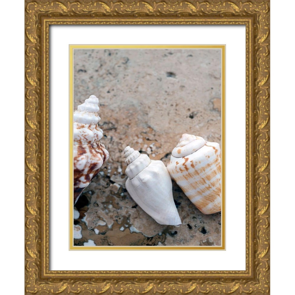 Ray, Elena 19x24 Gold Ornate Wood Framed with Double Matting Museum Art ...