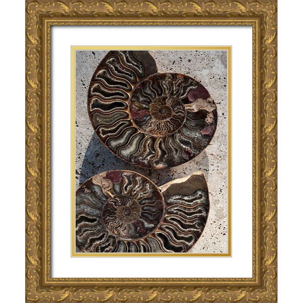 Ray, Elena 19x24 Gold Ornate Wood Framed with Double Matting Museum Art ...