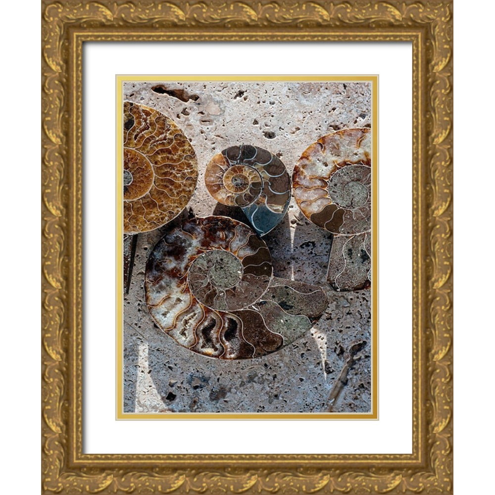 Ray, Elena 19x24 Gold Ornate Wood Framed with Double Matting Museum Art ...
