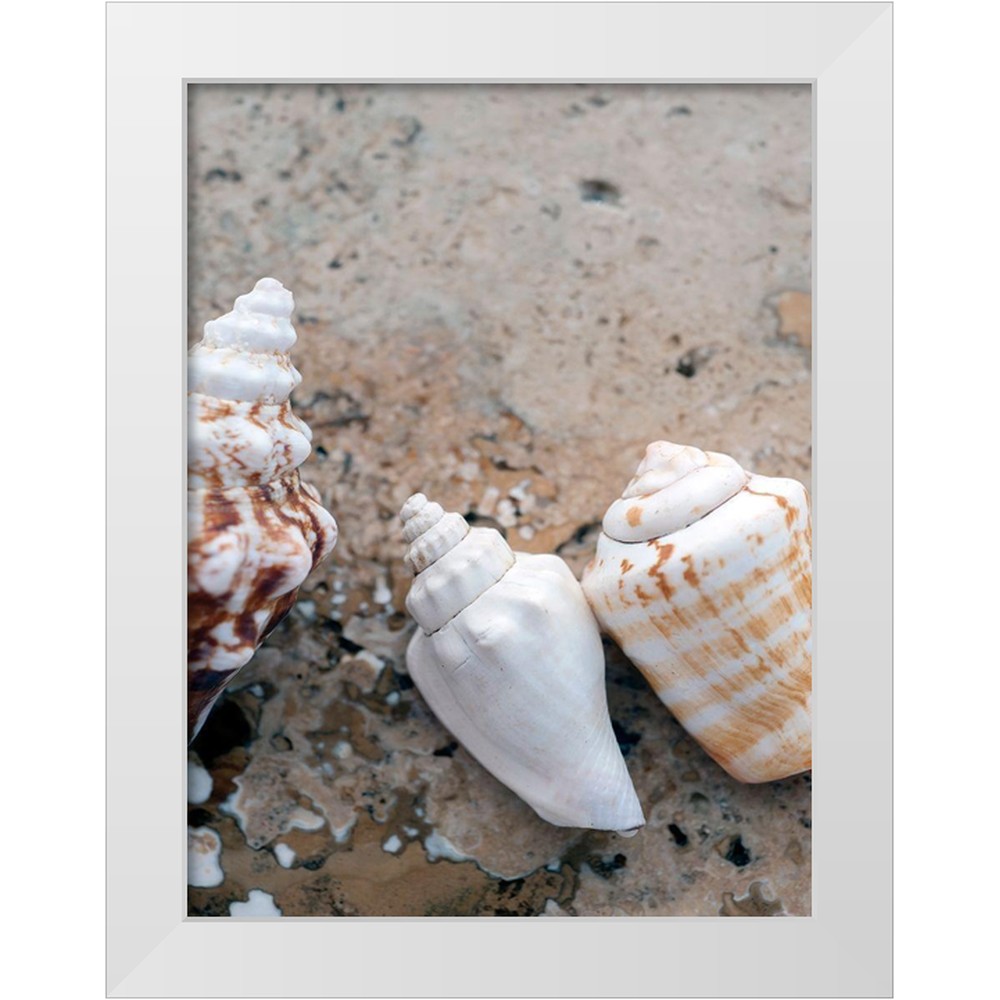 Ray, Elena 19x24 White Modern Wood Framed Museum Art Print Titled ...