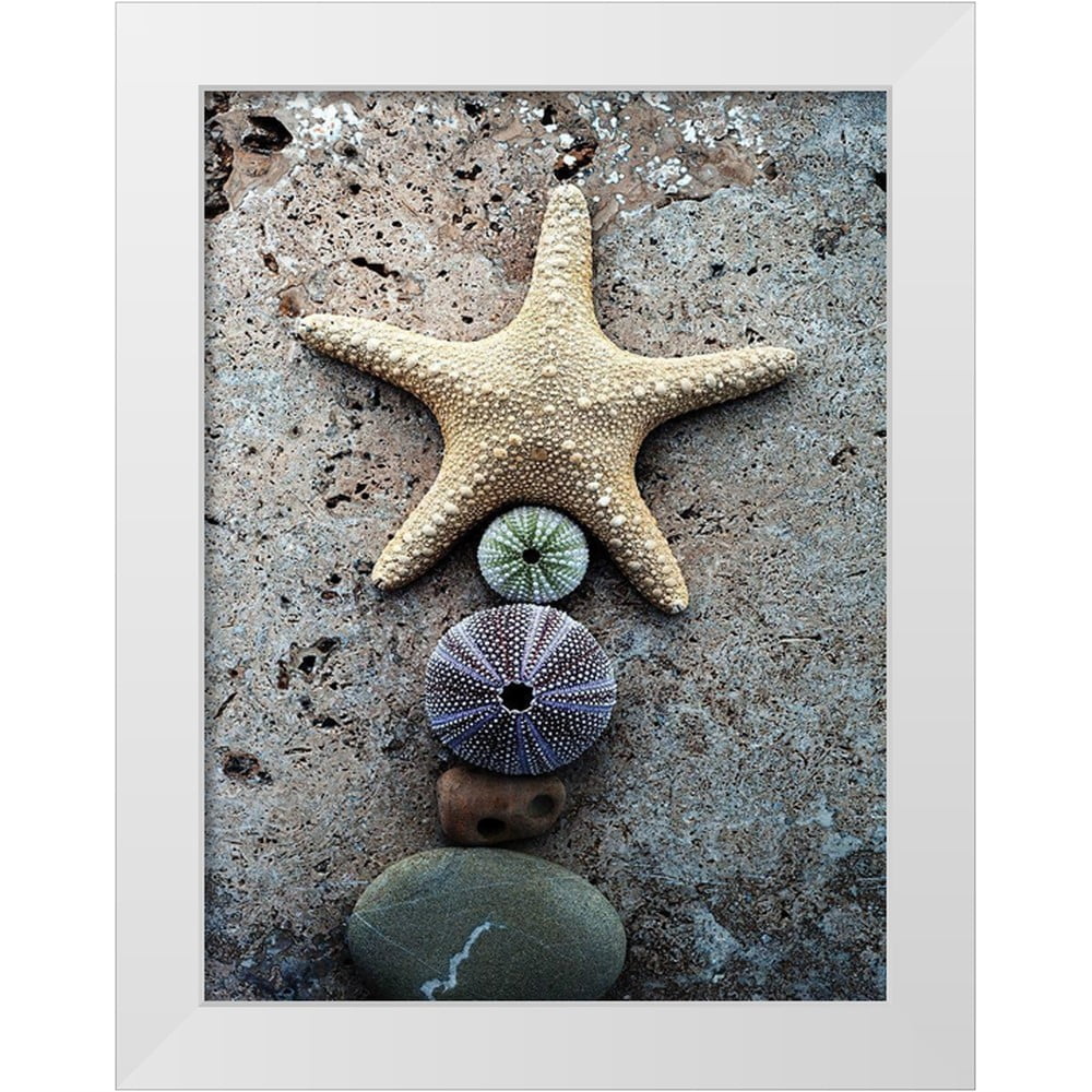 Ray, Elena 19x24 White Modern Wood Framed Museum Art Print Titled ...