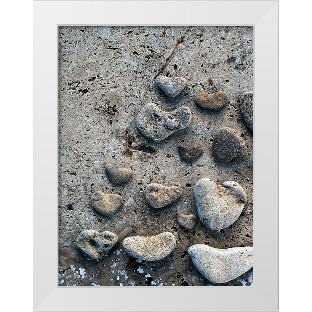 Ray, Elena 19x24 White Modern Wood Framed Museum Art Print Titled ...