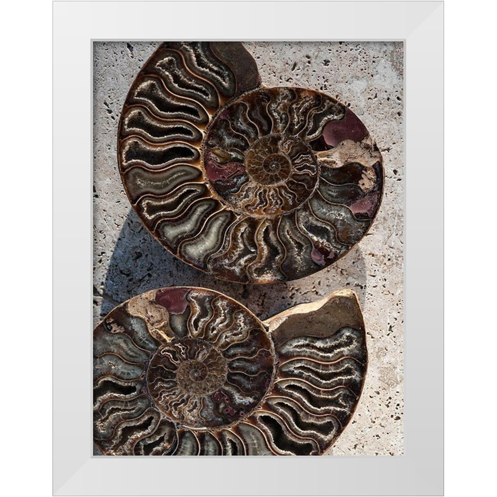 Ray, Elena 19x24 White Modern Wood Framed Museum Art Print Titled ...