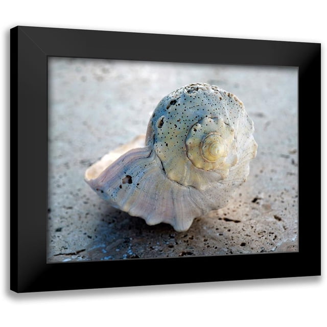 Ray, Elena 24x19 Black Modern Framed Museum Art Print Titled - Gifts of ...