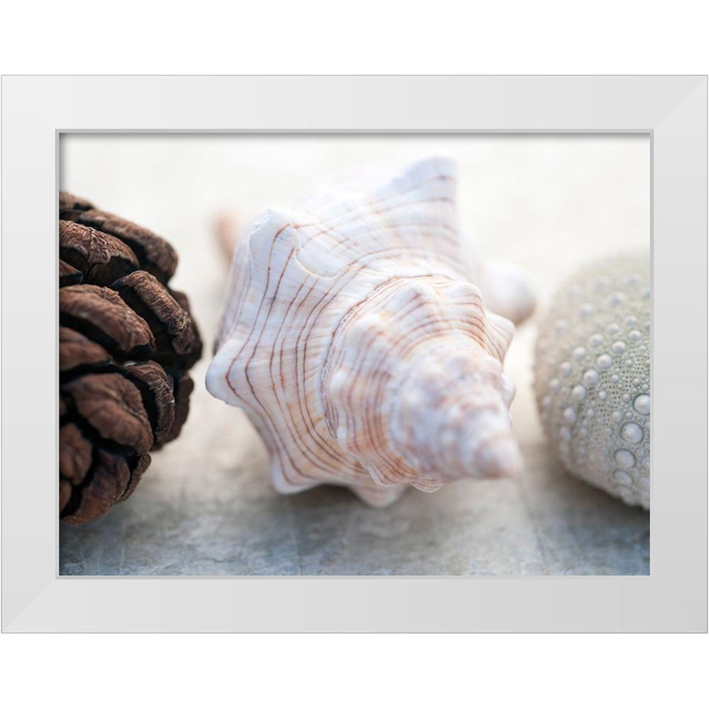 Ray, Elena 24x19 White Modern Wood Framed Museum Art Print Titled ...