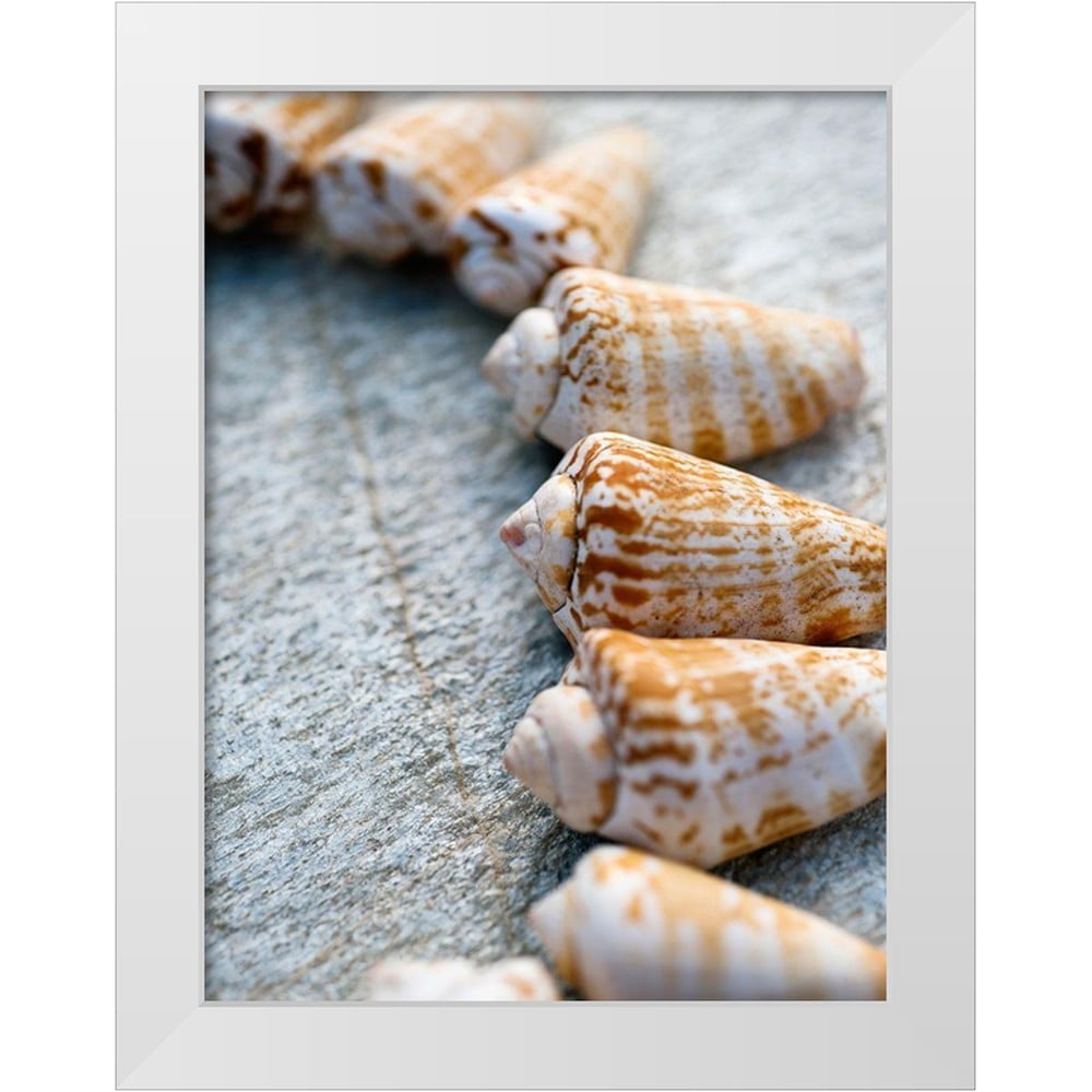 Ray, Elena 25x32 White Modern Wood Framed Museum Art Print Titled - Gifts of the Shore X ...