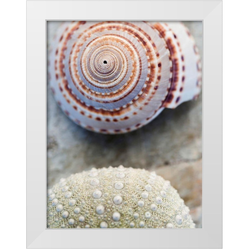 Ray, Elena 25x32 White Modern Wood Framed Museum Art Print Titled ...