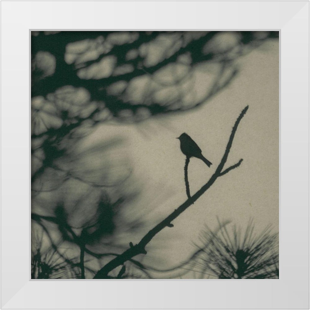 Ray, Elena 26x26 White Modern Wood Framed Museum Art Print Titled ...