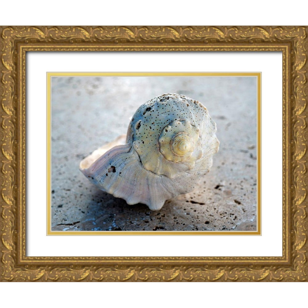 Ray, Elena 32x25 Gold Ornate Wood Framed with Double Matting Museum Art ...