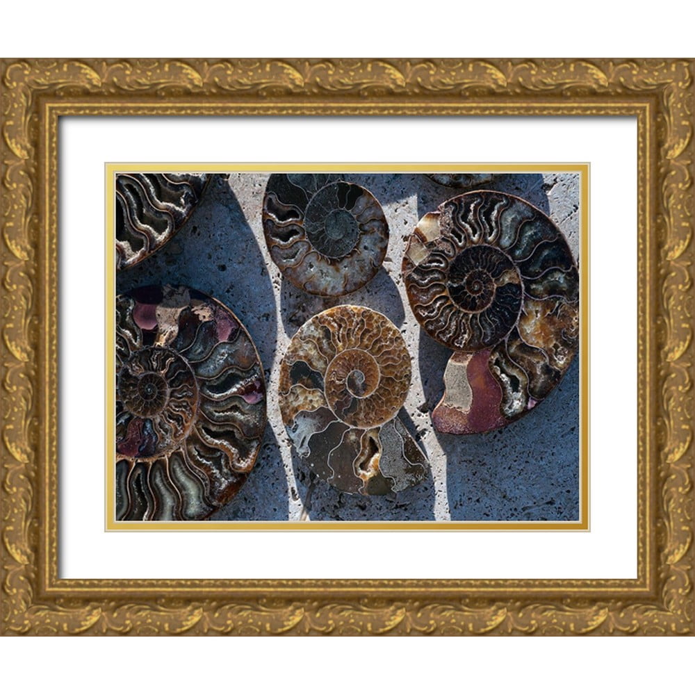 Ray, Elena 32x25 Gold Ornate Wood Framed with Double Matting Museum Art ...