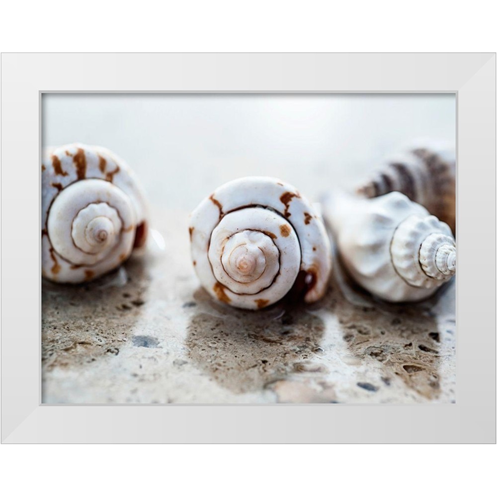 Ray, Elena 32x25 White Modern Wood Framed Museum Art Print Titled ...