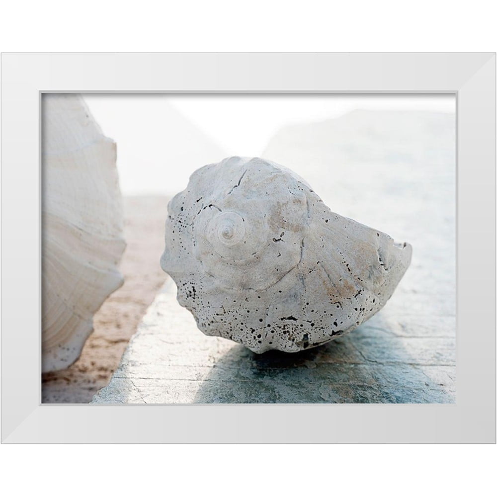 Ray, Elena 32x25 White Modern Wood Framed Museum Art Print Titled ...