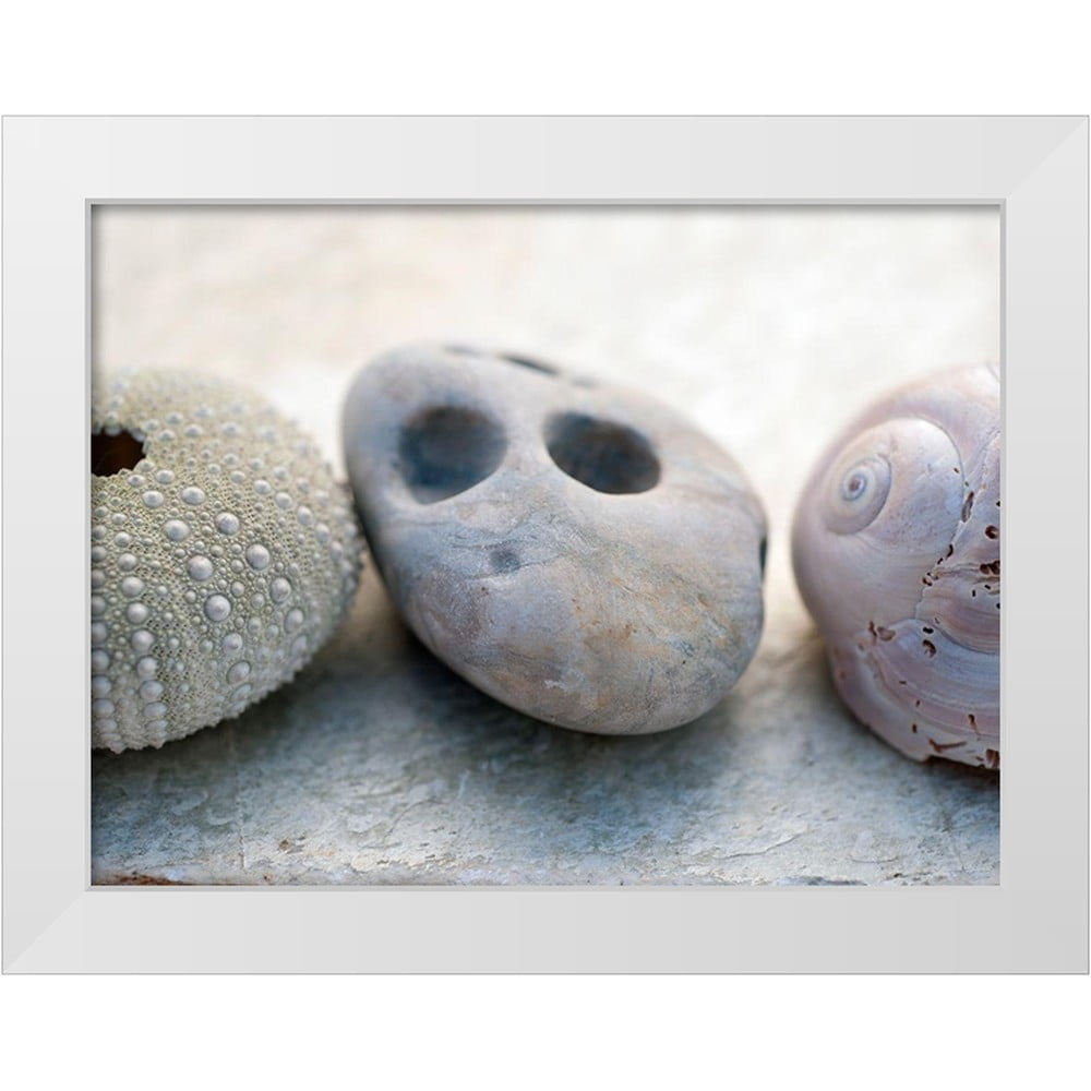 Ray, Elena 32x25 White Modern Wood Framed Museum Art Print Titled ...