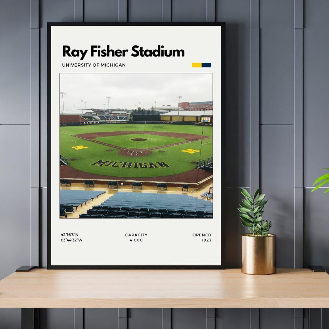 Ray Fisher Stadium - University of Michigan Baseball, Unframed Canvas ...