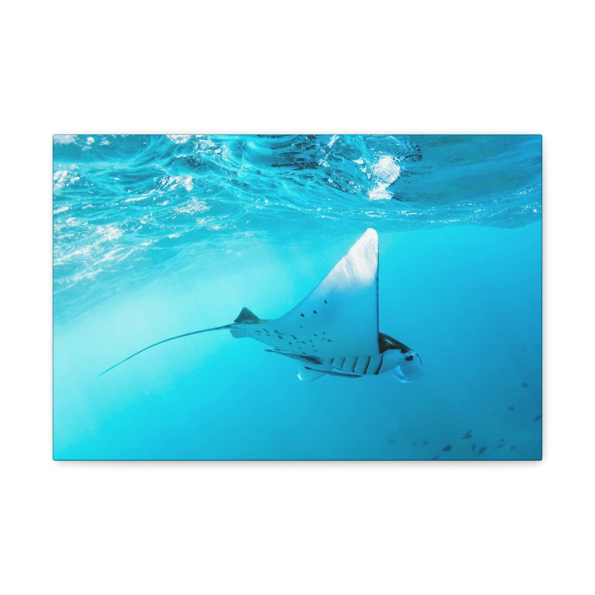 Ray Hunting Ray on Hunt Print Animal Wall Art Wildlife Canvas Prints ...