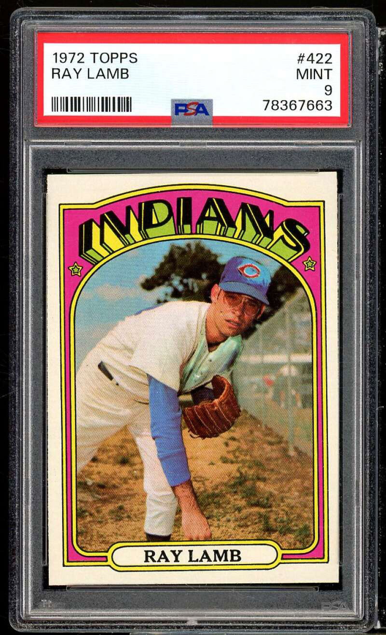 Ray Lamb Card 1972 Topps #422 - Walmart.com