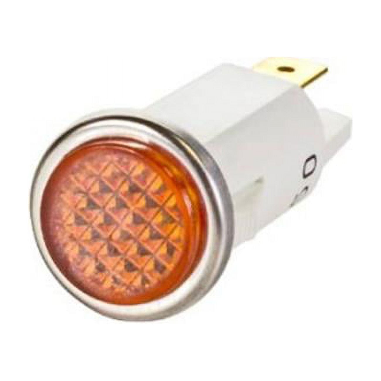 Raypak 001812F Heater Indicator Light - Walmart.com