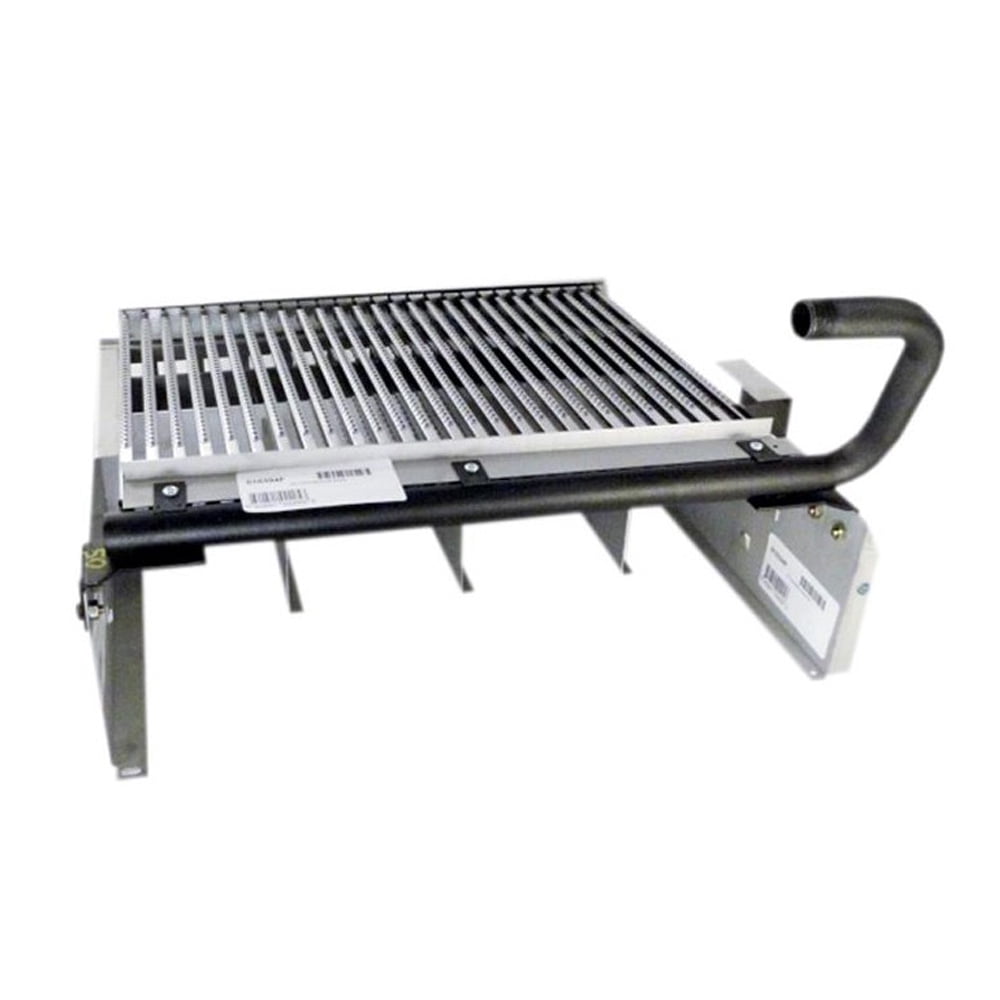 Raypak 010394F Burner Tray with Burners - Walmart.com