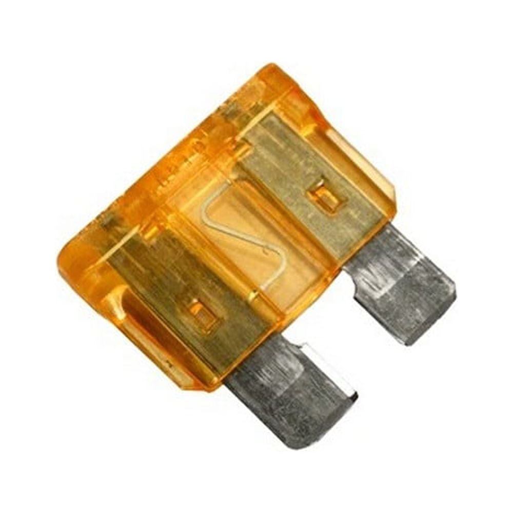 Raypak 013733F 5A Fuse for Heater - Walmart.com