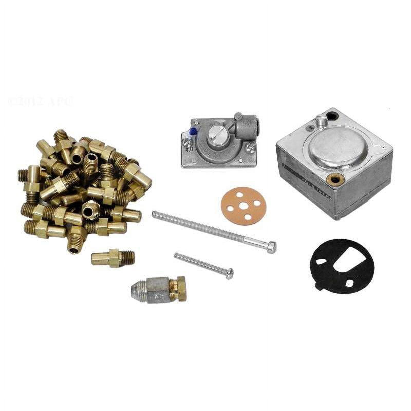 Raypak Conversion Kit Propane to Nat 335- 405 005320F - Walmart.com