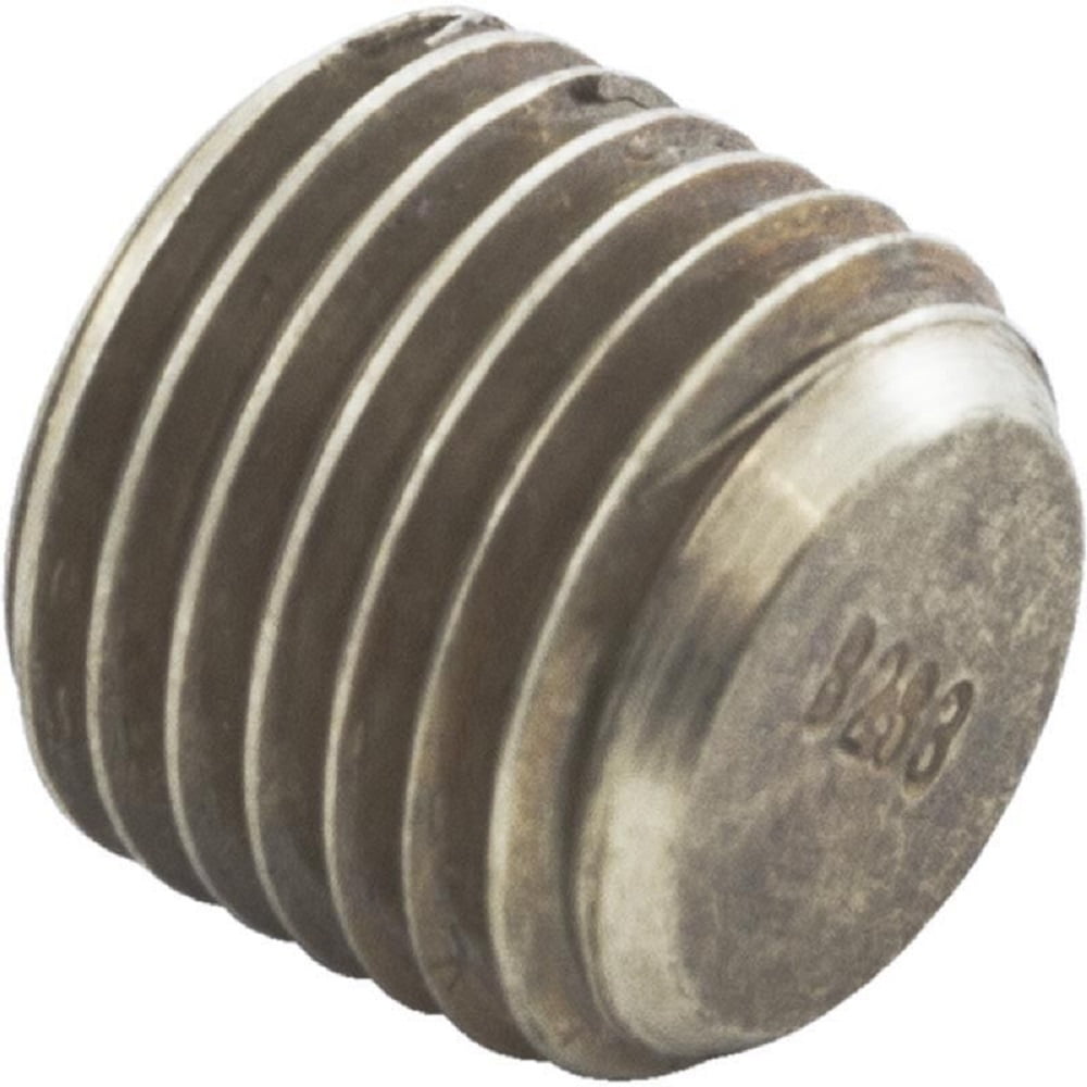 Raypak 501329 Header Plug - Walmart.com