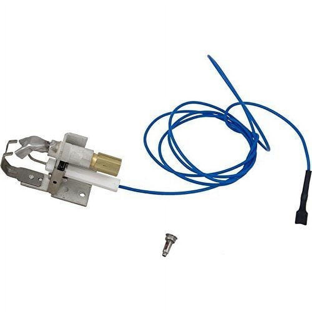 Raypak IID Pilot Assembly 002003F Natural Gas and Propane models ...